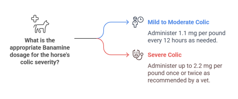 How Much Banamine to Give a Horse for Colic – Expert Guide